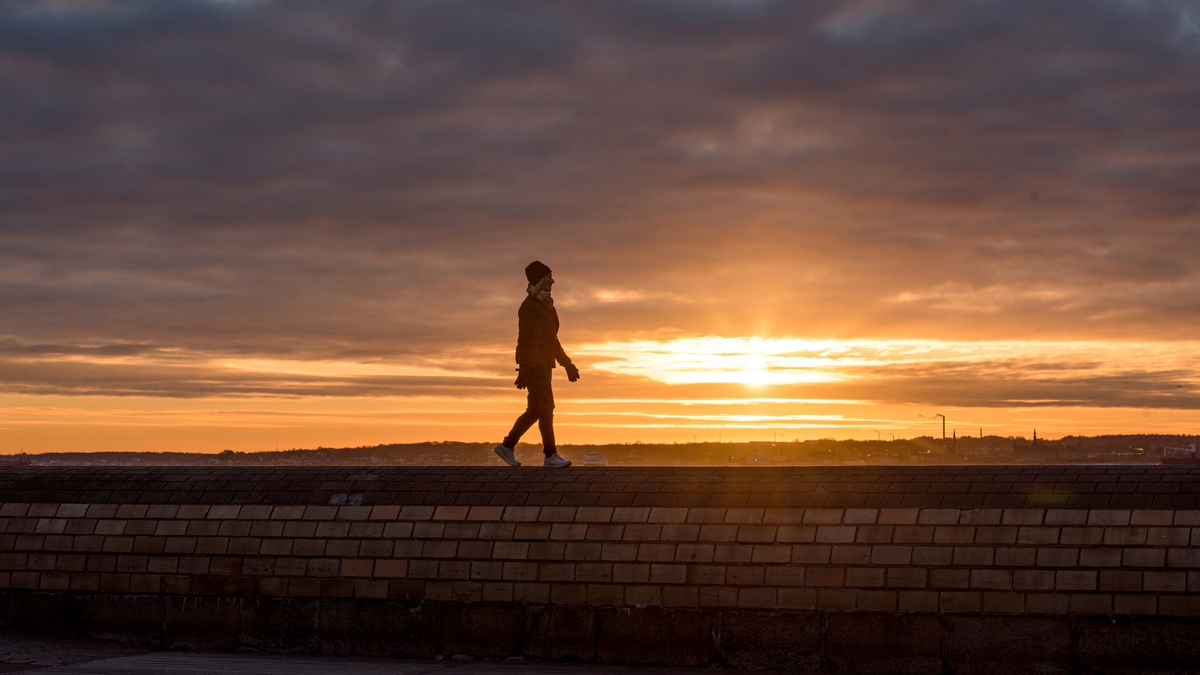 Helsingborg är en pilotstad mot prostitution och människohandel | Helsingborg.se