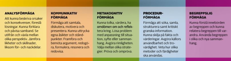 ”THE BIG 5” - De fem viktigaste förmågorna i läroplanen