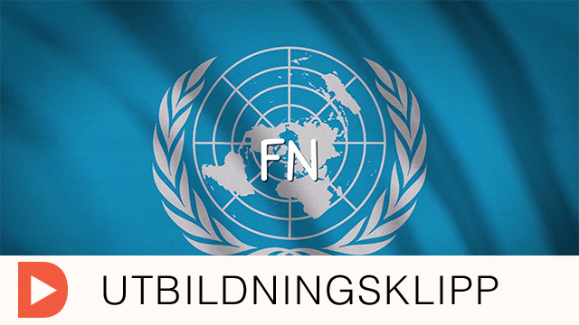 Program för dig som vill undervisa om barnkonventionen och barns ...