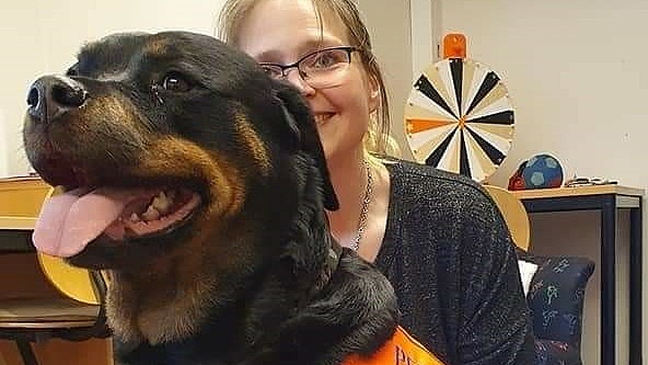 Pedagoghund stöttar eleverna på Bruksskolan