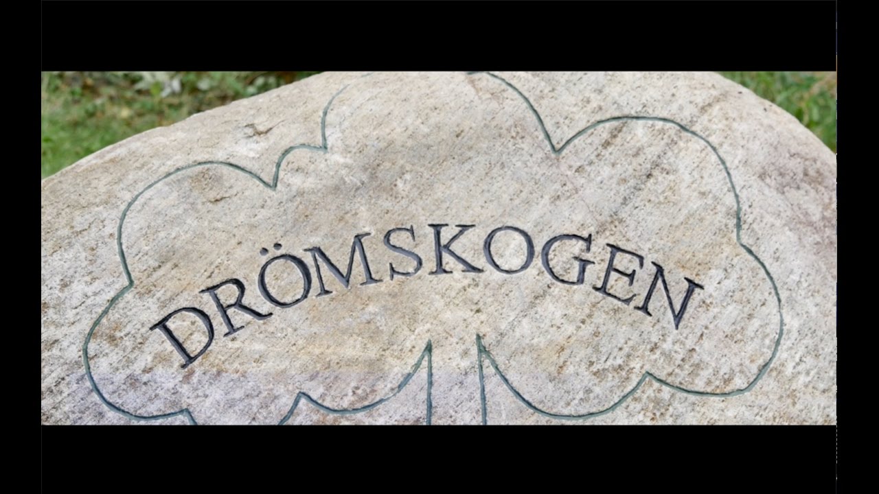 Hur fungerar skogens ekosystem? - Pedagogsajten Familjen Helsingborg