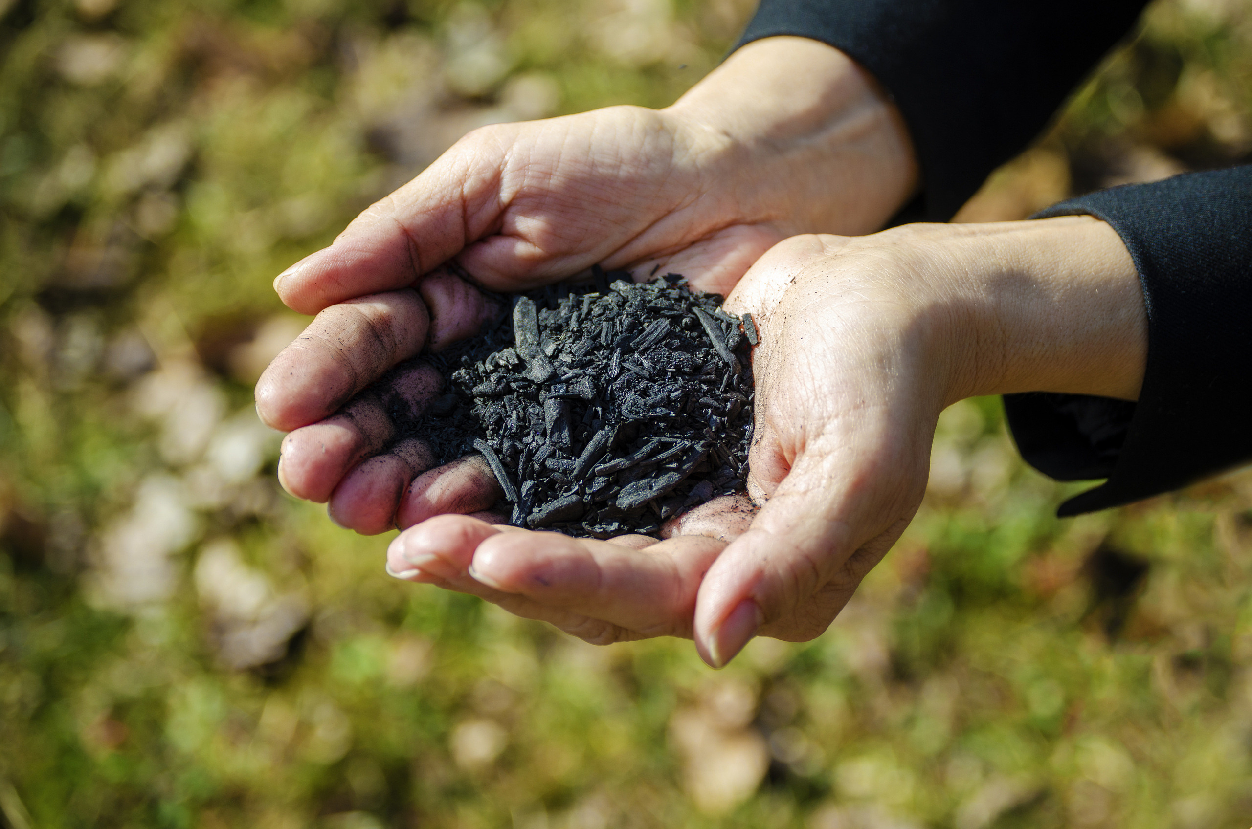 Biokol gör jorden mindre giftig - Innovation i Helsingborg