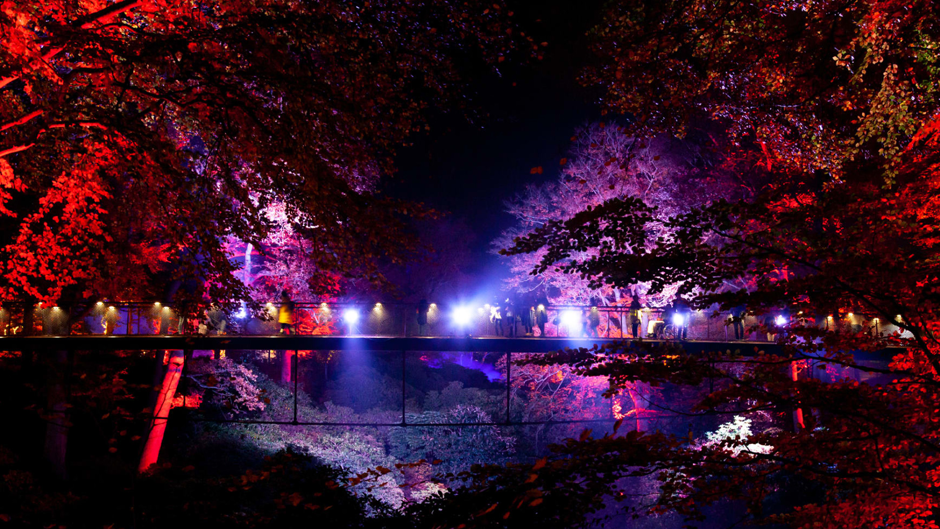 Sofiero lyser upp i höstmörkret | Kulturkortet